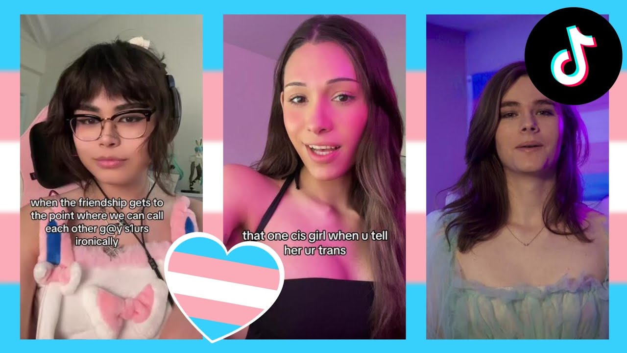 Trans TikToks Compilation #27