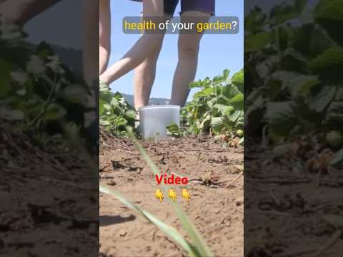 10 Surprising Ways to Use Baking Soda in Your Garden #trend #trending #gardening #shortvideo #seeds