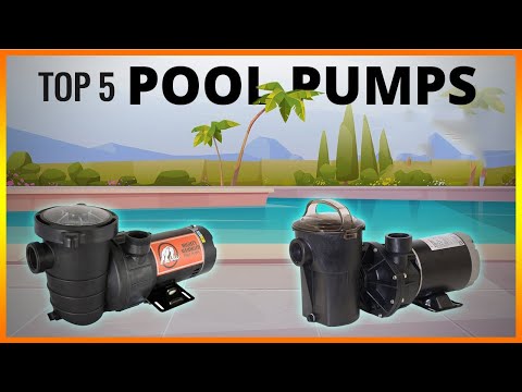 Best Pool Pump 2025 - Top 5 Pumps For Your Pool