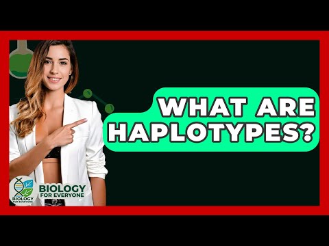 What Are Haplotypes? - Biology For Everyone