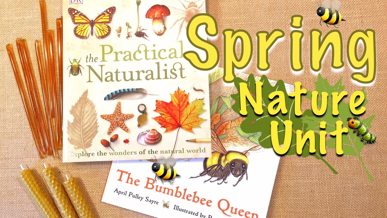 Nature Unit Study Bees