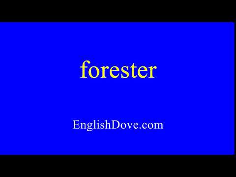 How to pronounce forester in American English.