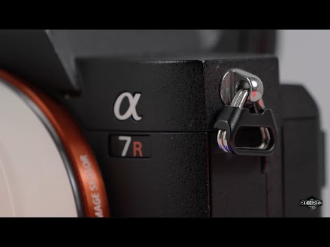 What would I do with $1,000? plus my SONY a7r iii tribute