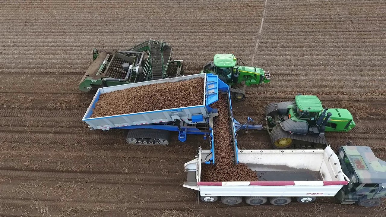Potato Harvest with the Crop Shuttle