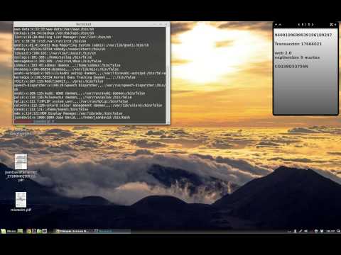 Comandos Básicos de GNU/Linux