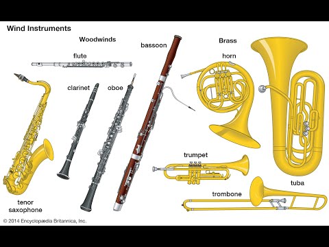 What are Brass and Woodwind Instruments??