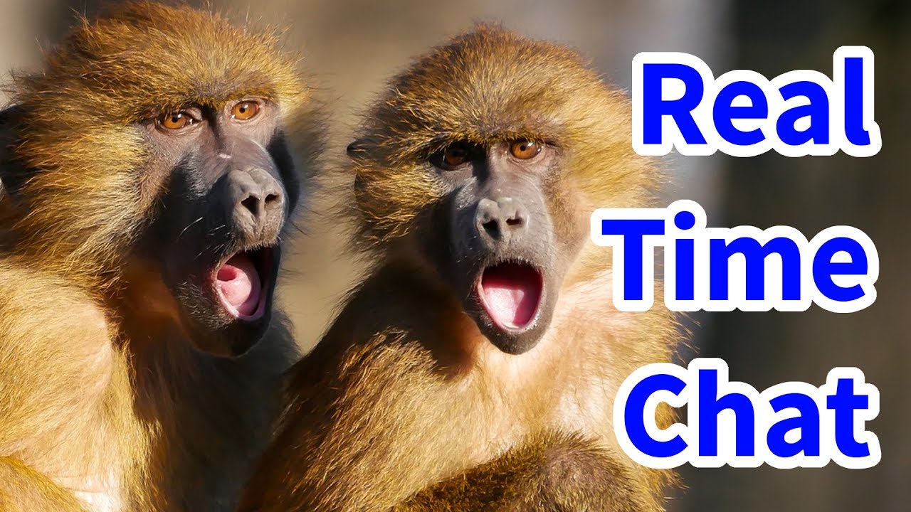 Build a Real-time Chatroom - Node.js, WebSockets - Tutorial