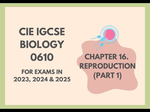 Sexual Reproduction in Humans Video Lecture - Biology for GCSE/IGCSE ...