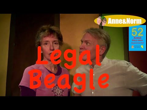 Legal Beagle