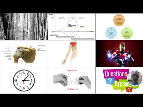 Massage and Myotherapy Australia 2021 International Virtual Conference