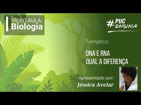 DNA e RNA: Qual a Diferença?