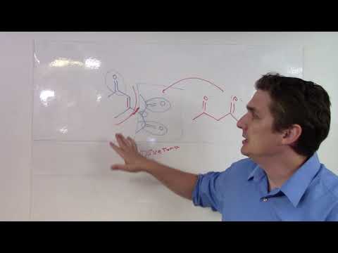 Reverse Engineering the Michael Reaction