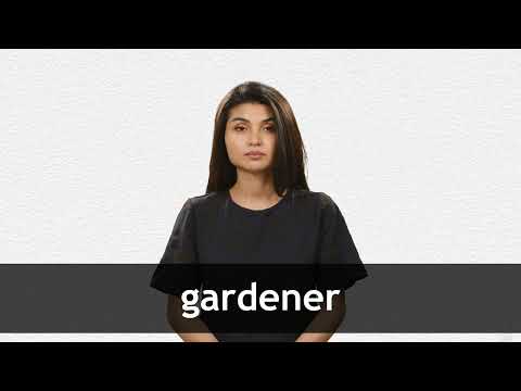How to pronounce GARDENER in American English