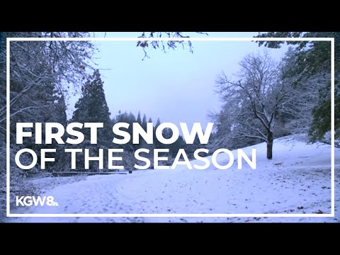 First snowfall of the season in the Portland metro area