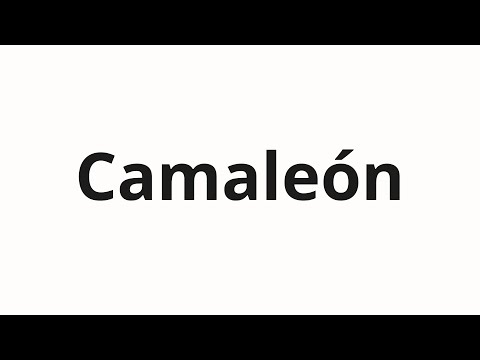 How to pronounce Camaleón