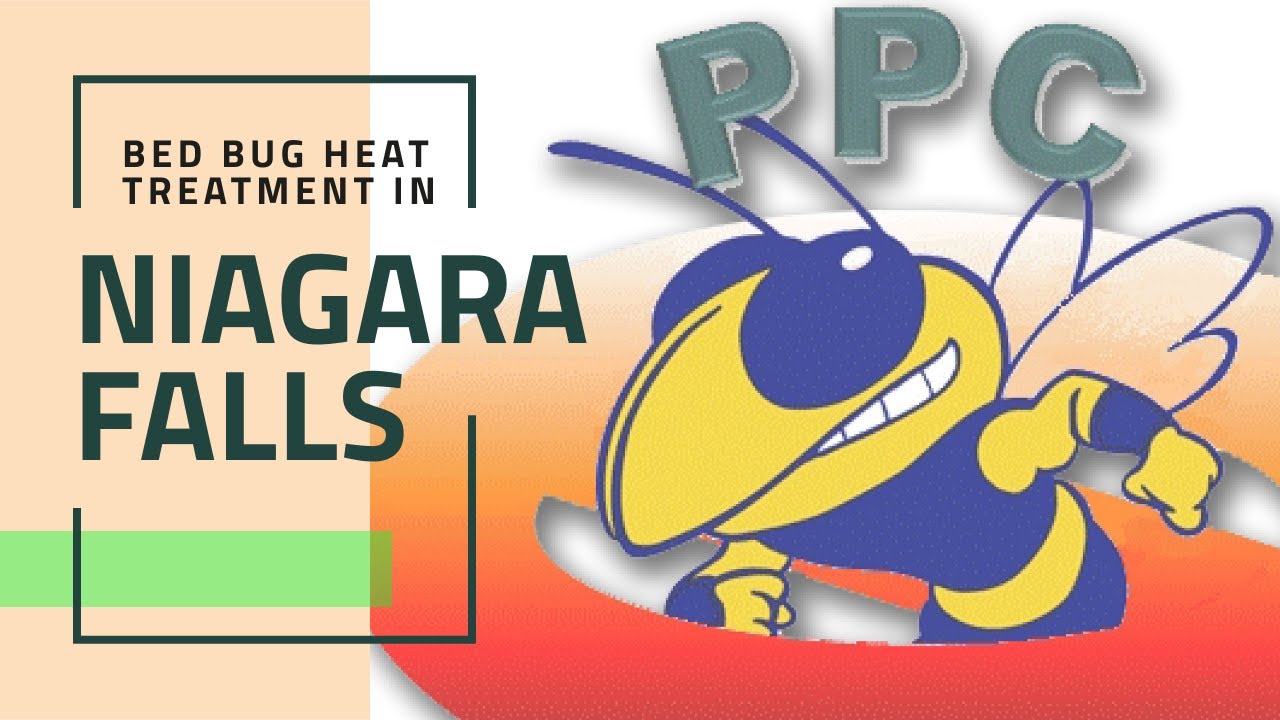 Bed Bug Heat Treatment in Niagara Falls
