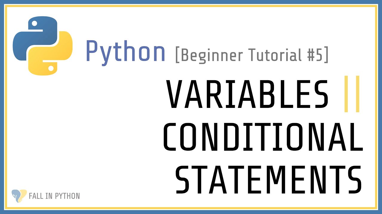 Beginner Python Tutorial #5 - Variables and Conditional Statements Exercise