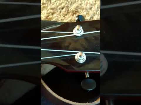 Breedlove Concert Ukulele and Road Runner Case | Reverb