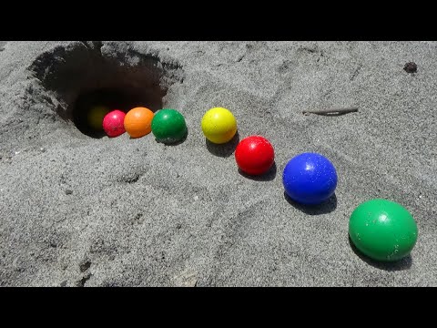 Marble Run☆ Enjoyed in Nature ☆ Fun Time with Rolling Balls