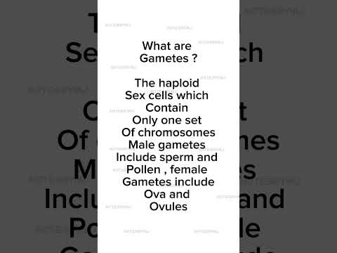 What are gametes | Biology basic terms #gametes