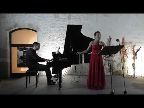 Robert Schumann - Dichterliebe Op.48 (I-VII)