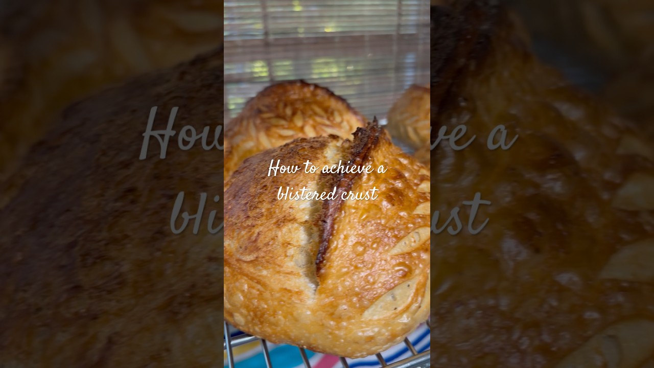 A blistered #sourdough crust: the science behind it! #microbaker