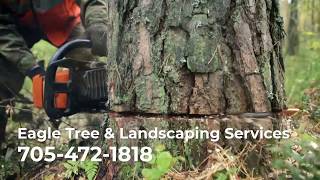 3 Best Tree Services in North Bay, ON - Expert Recommendations