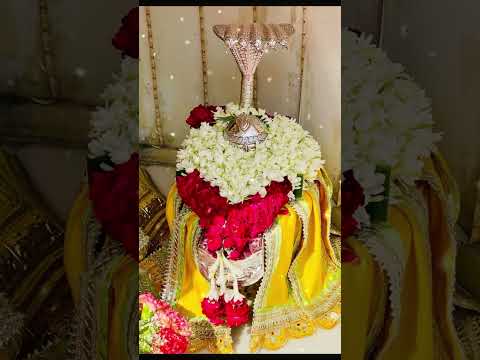 #guruji #jaiguruji #gurujiblessings #jaigurujidelhi #gurujisatsang #jaigurujisukranaguruji #shiv
