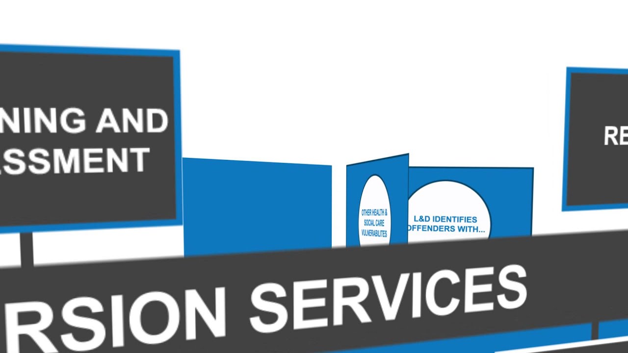 Liaison and Diversion - Introduction   June 2014