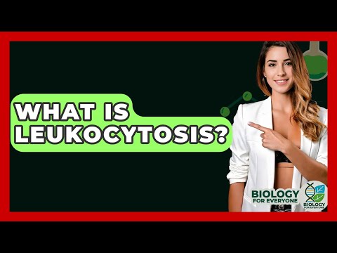 What Is Leukocytosis? - Biology For Everyone