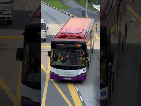 SCANIA BUS! #shorts