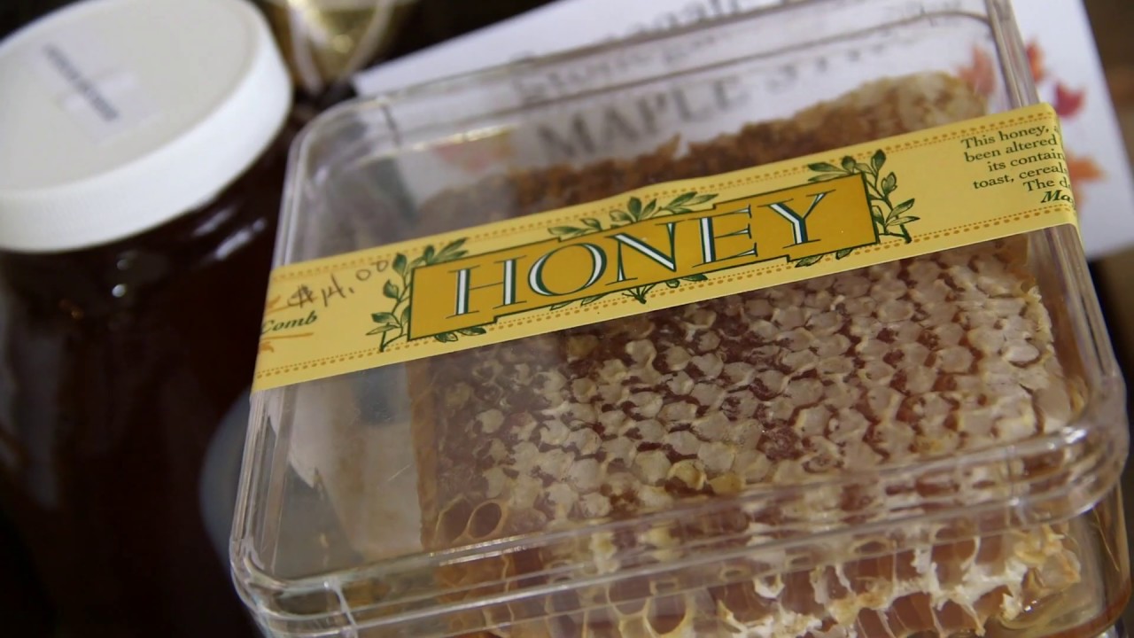 Beyond the Books: Visiting the Bees