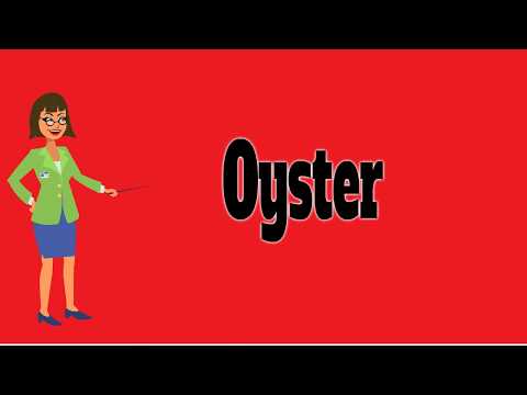 Oyster | Pronunciation | Meanings | Definition | Picture | Ocean Animals