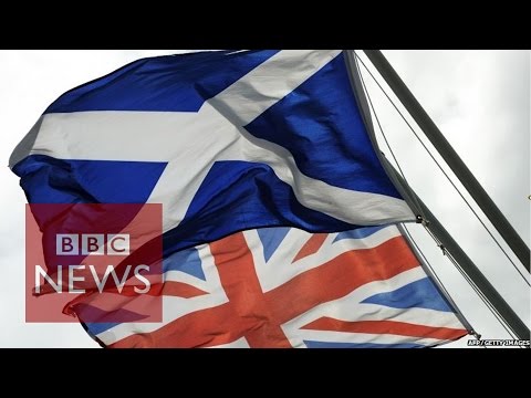 Scottish referendum: How will the result be decided? BBC News