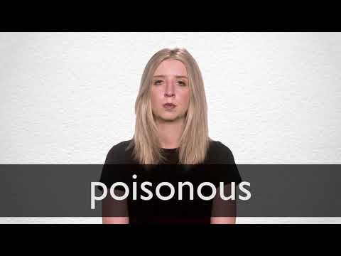 POISONOUS - Learn the Meaning, Synonyms & Translations | Collins ...