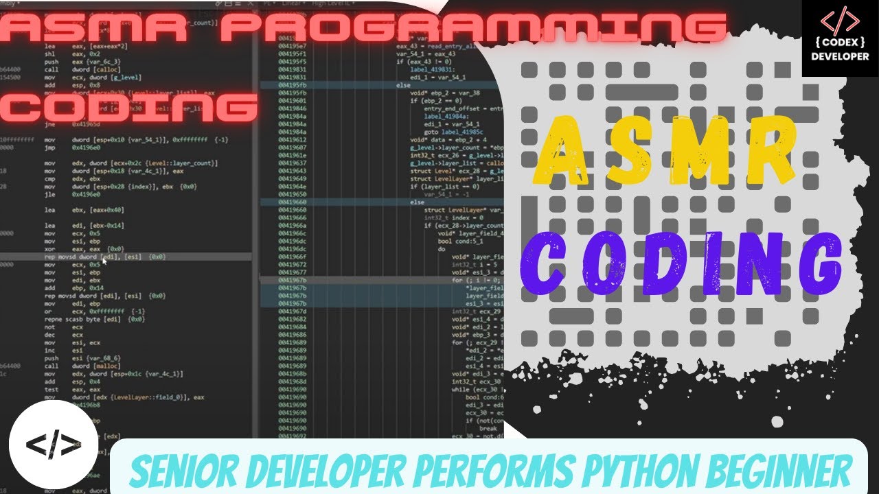 ASMR Programming  Coding Senior Developer Performs Python Beginner A Brick Game Using Own Codes