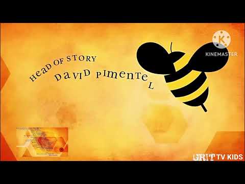 Bee Movie (2007) End Credits (Grit TV Kids Version) [FANMADE/FAKE]