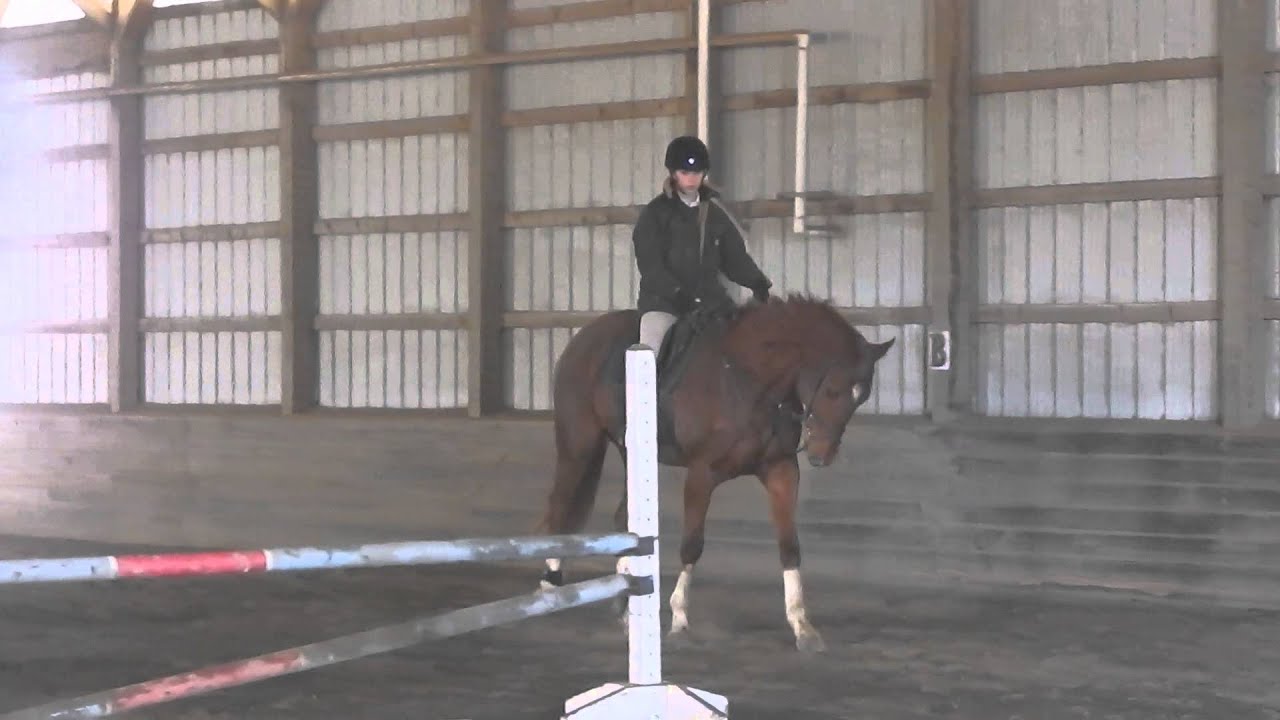 DSCN0409-Kira & Stormy walk