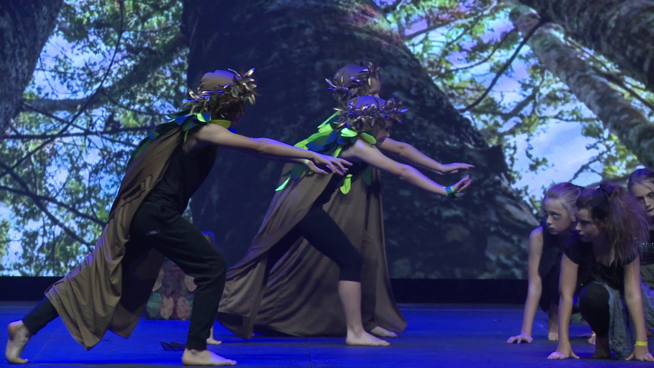 Birkdale Intermediate | Showquest 2019