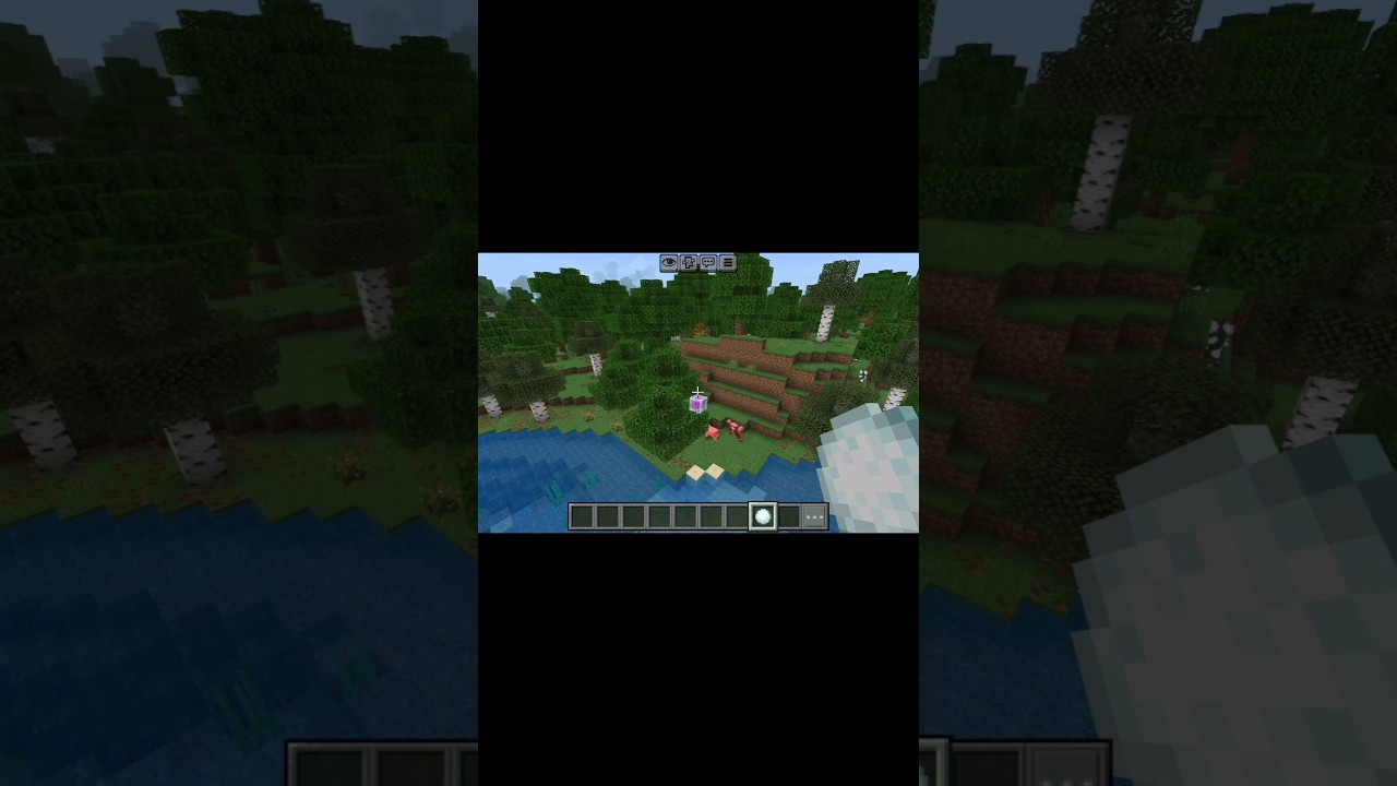 Minecraft amazing command #minecraft  #minecraftcommands