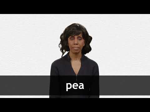 PEA definition and meaning | Collins English Dictionary