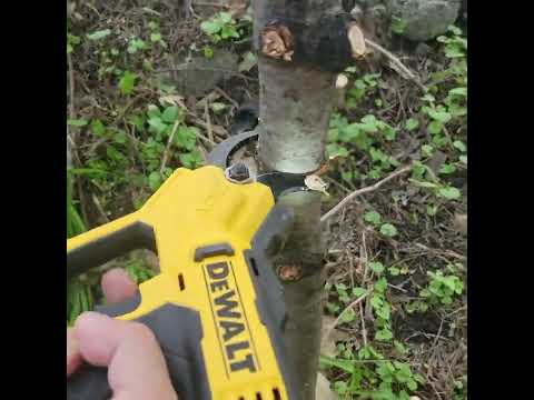 The Dewalt bypass pruner is a bit of a beast!