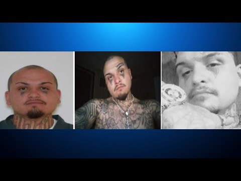 Remains Of 3 Victims Found In Southern Colorado, Adre 'Psycho' Baroz Now Wanted