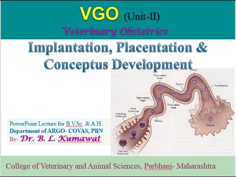 Conceptus Development (Part-1): Early Embryonic Development I Vet Academy by Dr Kumawat B L II