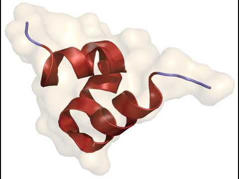 Osteocalcin | Wikipedia audio article
