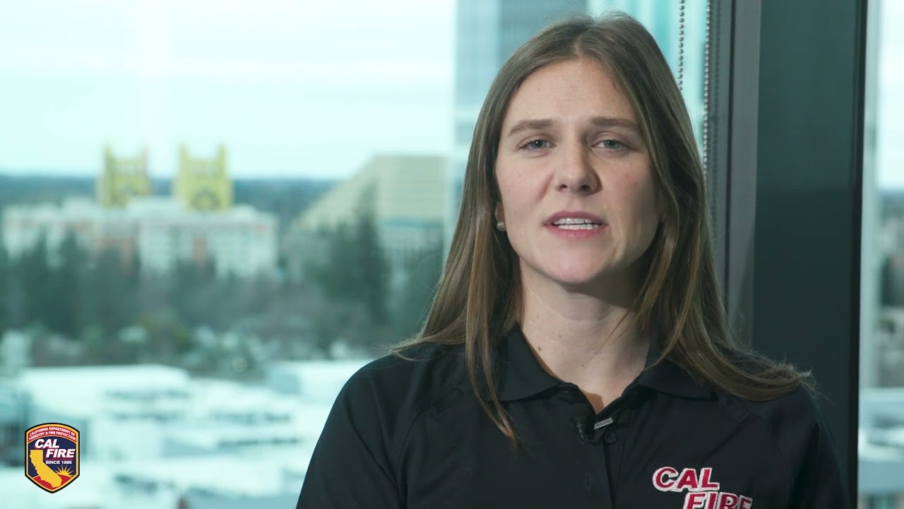 Pre and post-storm tree care tips with the Urban and Community Forestry Program