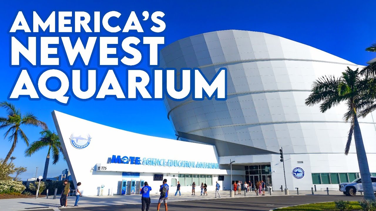 FULL TOUR | Mote Science Education Aquarium
