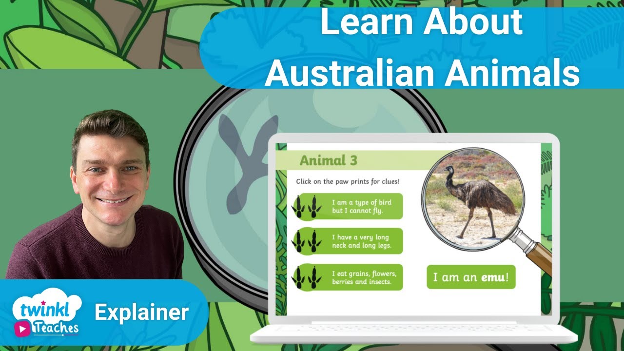 Teaching KS1 About Australian Animals With This Twinkl PowerPoint
