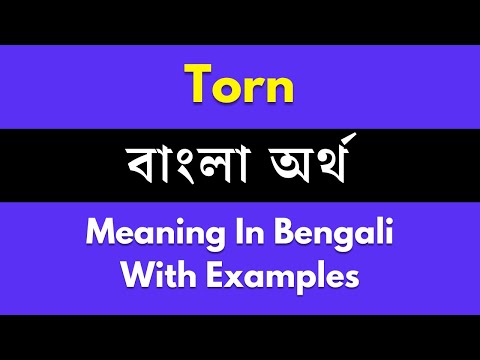 Torn Meaning in Bengali / Torn শব্দের বাংলা ভাষায় অর্থ অথবা মানে কি