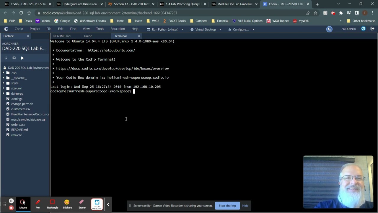 DAD220 Module 1 Codio Lab 1-4